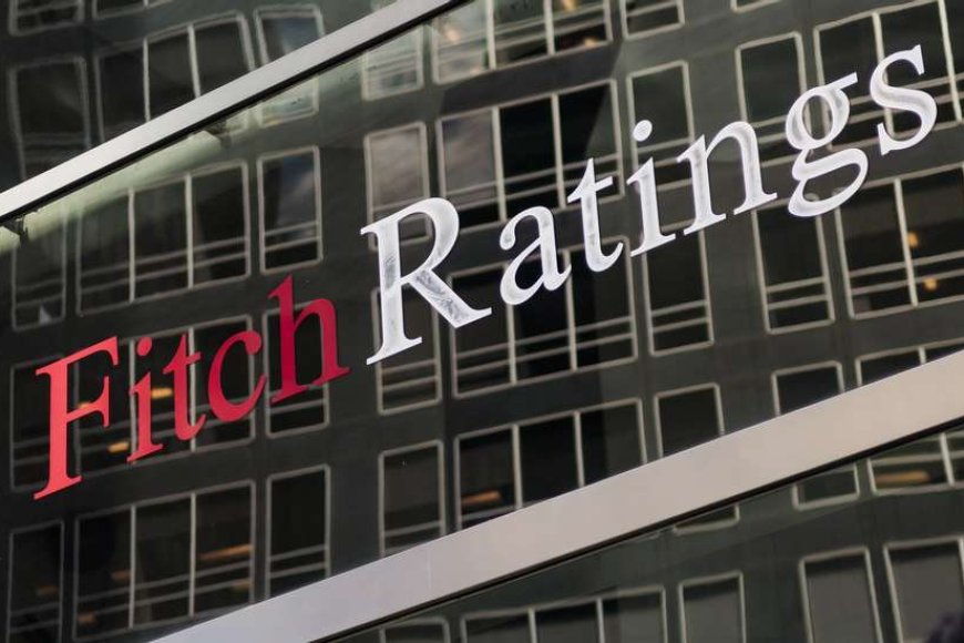 Η Fitch υποβαθμίζει το 2025 τις προοπτικές των παγκόσμιων ...